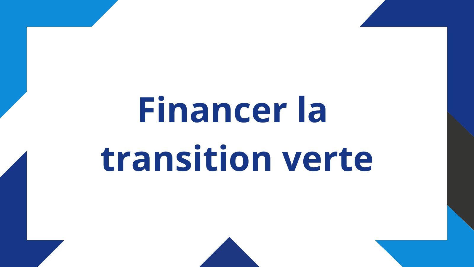 Financer la transition verte : répondre aux besoins des pays en ...